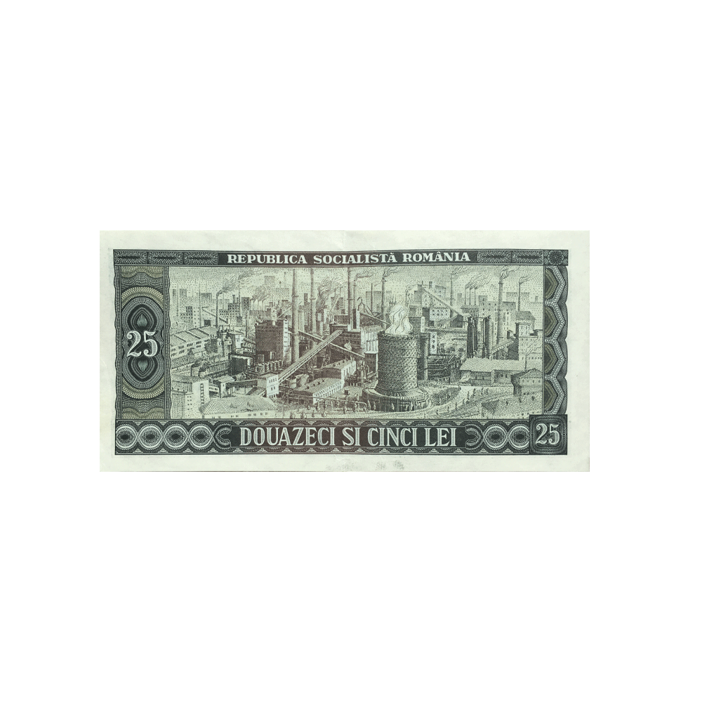 Roumanie - Billet de 25 Lei - 1966 – pieces-et-monnaies.com